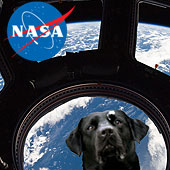 Notes from Last Night's NASA Press Conference