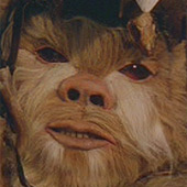How an Ewok Almost Broke My Arm in 2005